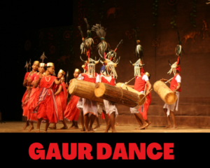 13 Famous Folk Dance of Madhya Pradesh » Newscoop IAS